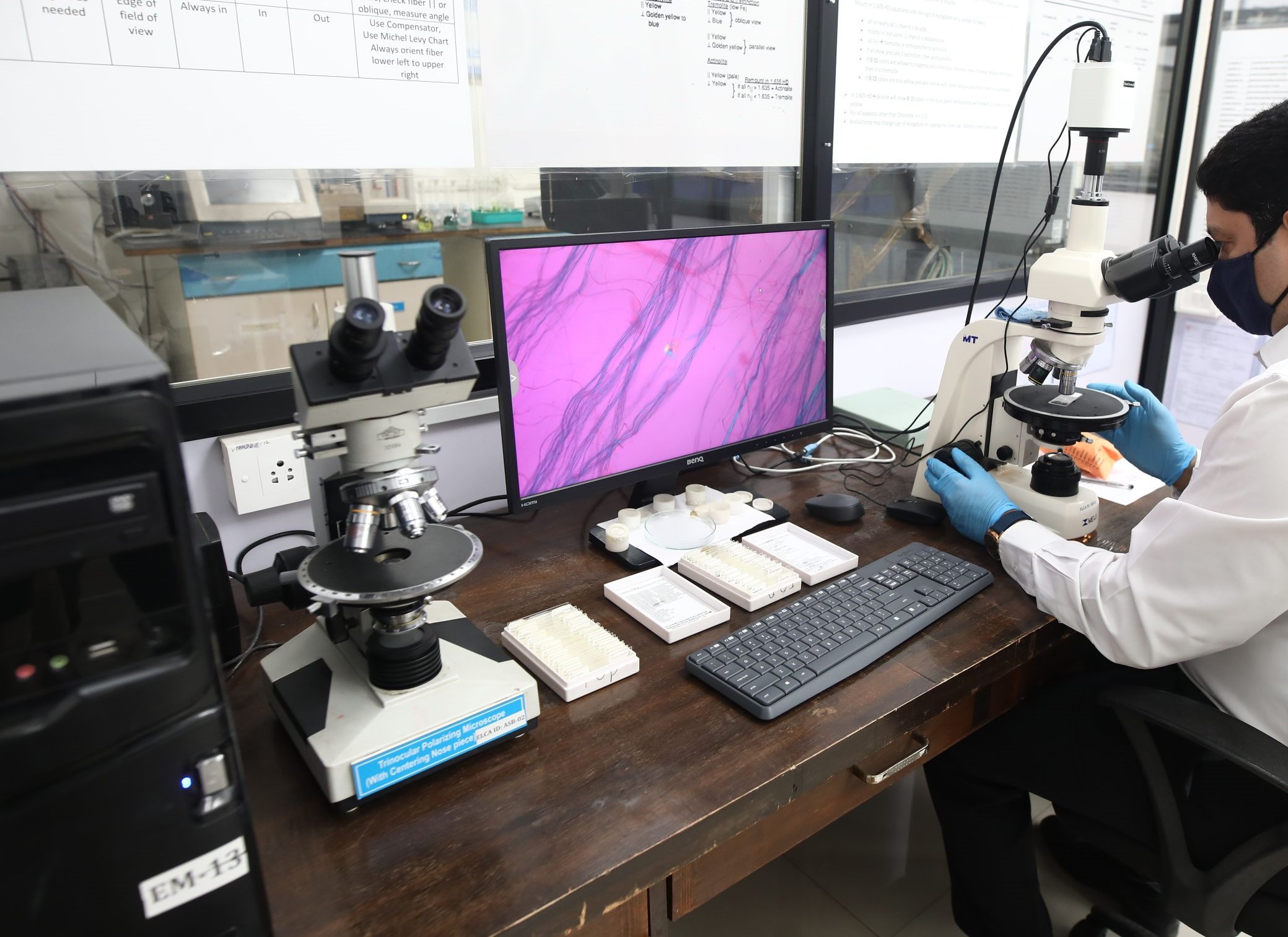 Asbestos Identification - Elca Labs